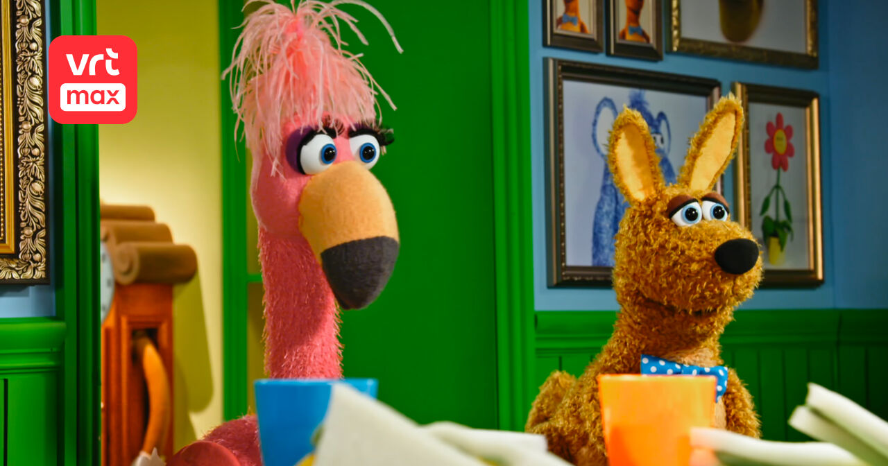 Monty & Co - 6 (1) | VRT MAX