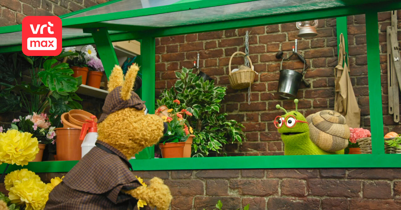 Monty & Co - 10 (1) | VRT MAX