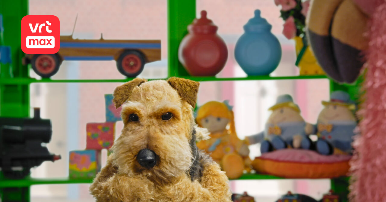 Monty & Co - 25 (1) | VRT MAX