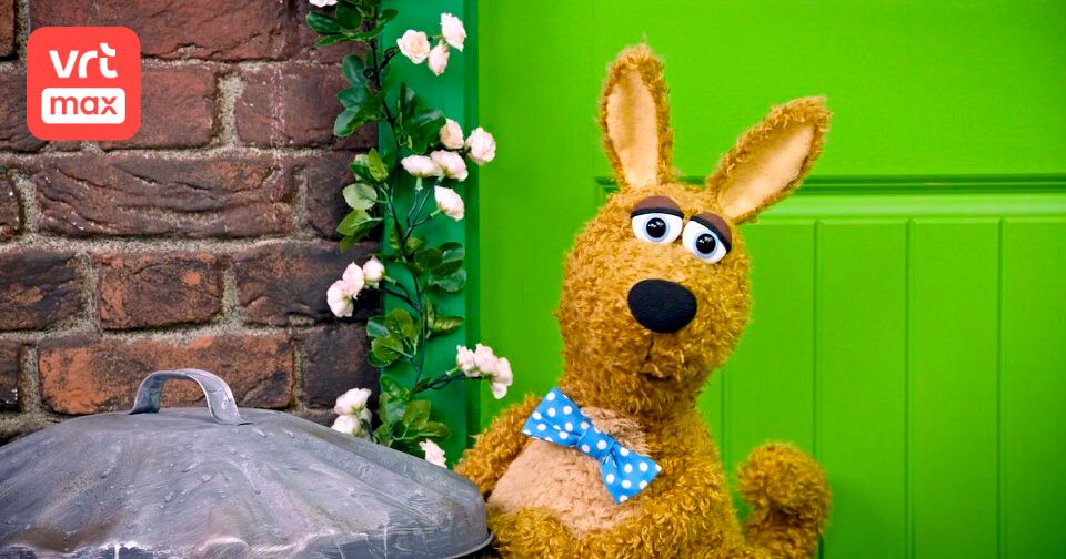 Monty & Co - 20 (1) | VRT MAX