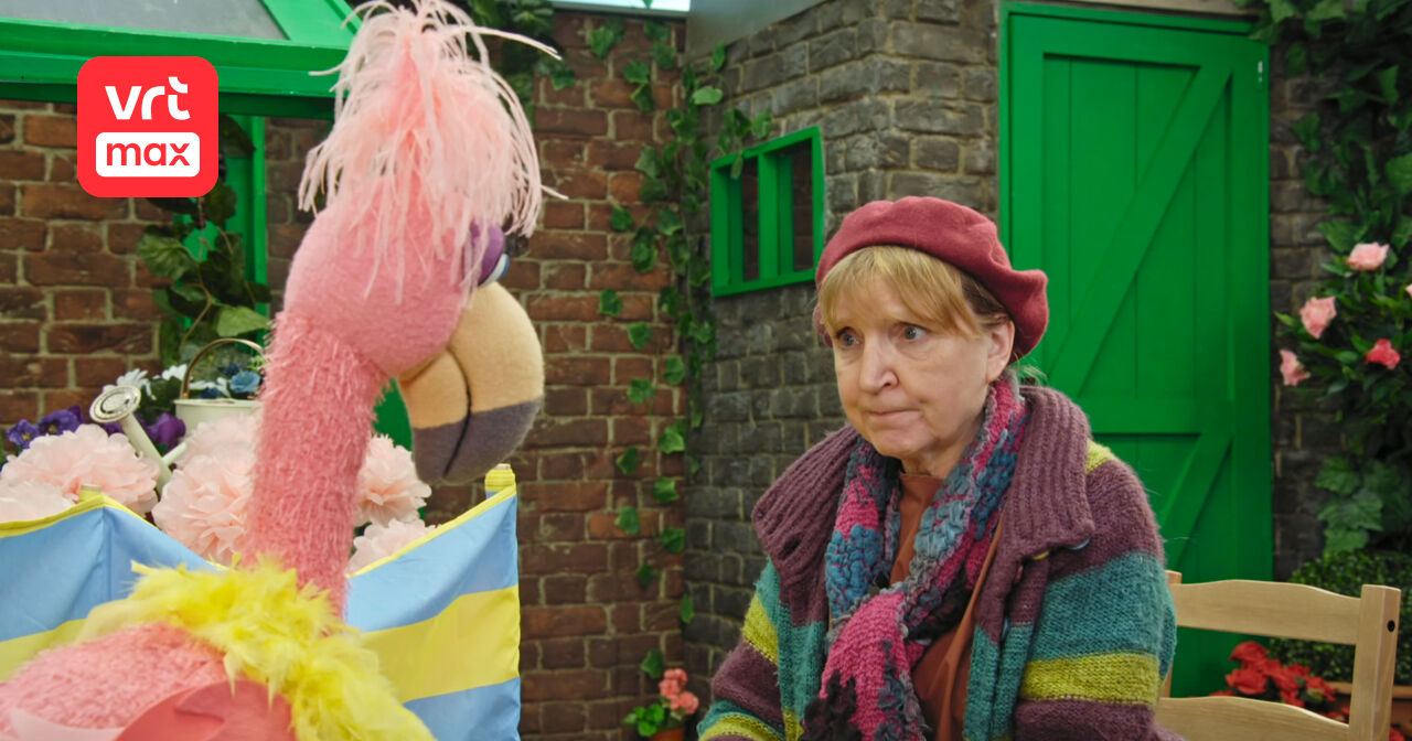 Monty & Co - 29 (1) | VRT MAX