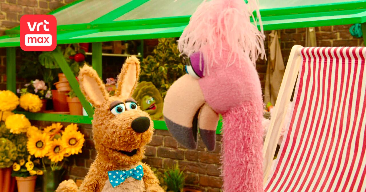 Monty & Co - 33 (1) | VRT MAX