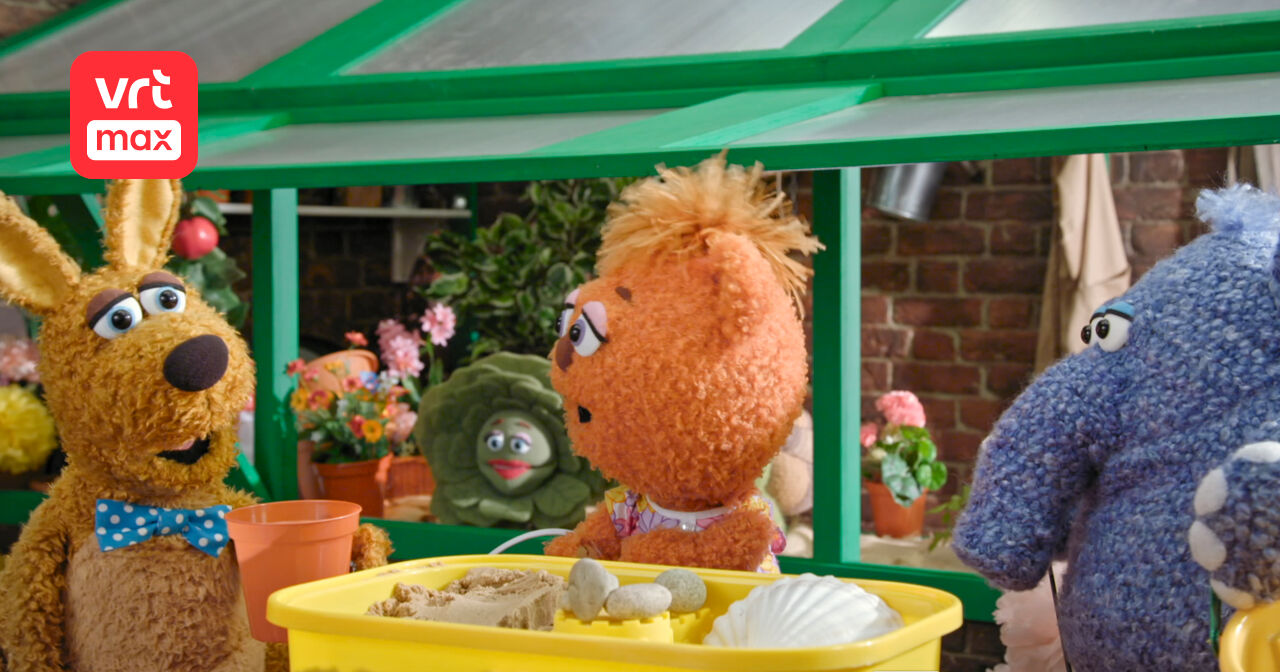 Monty & Co - 32 (1) | VRT MAX