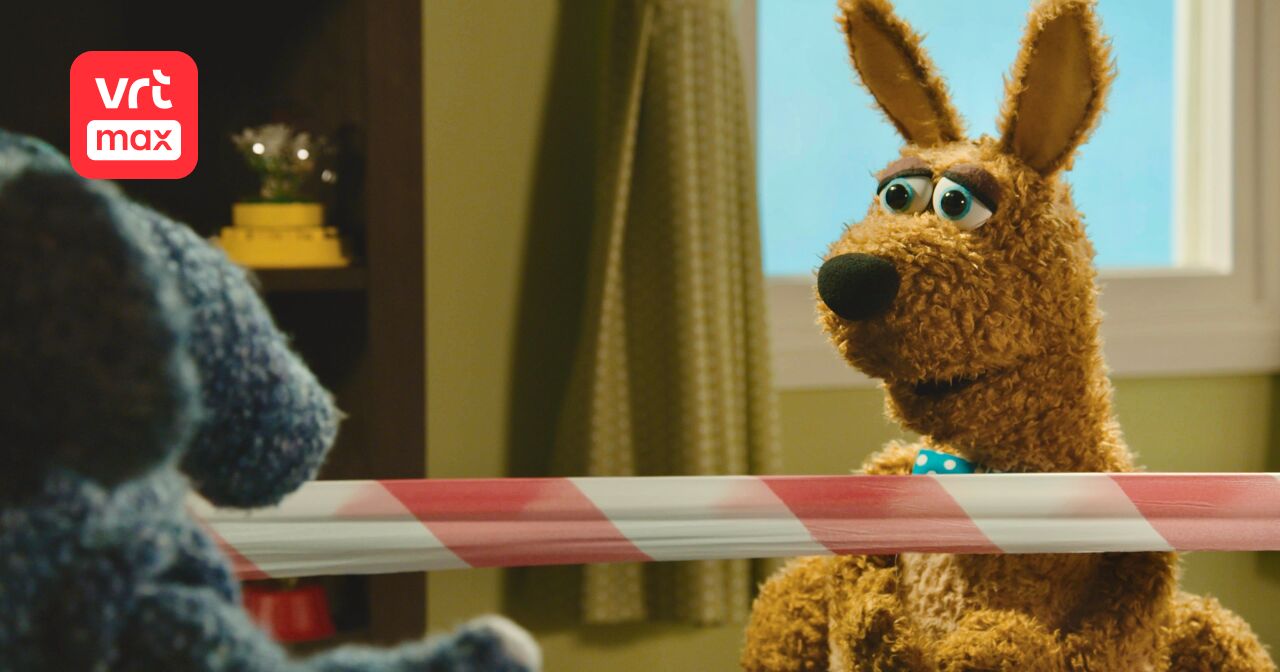 Monty & Co - 31 (1) | VRT MAX