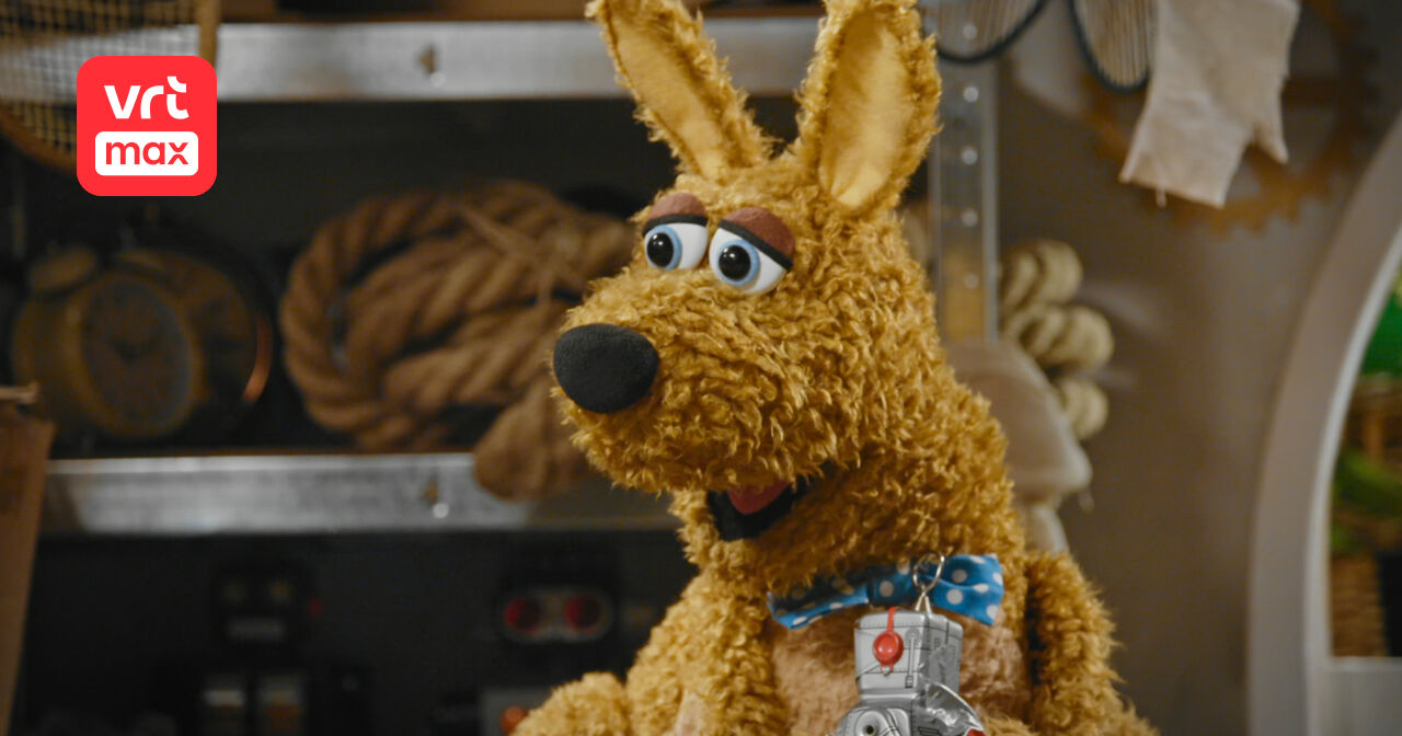 Monty & Co - 34 (1) | VRT MAX