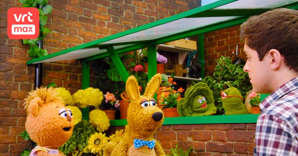 Monty & Co - 12 (1) | VRT MAX