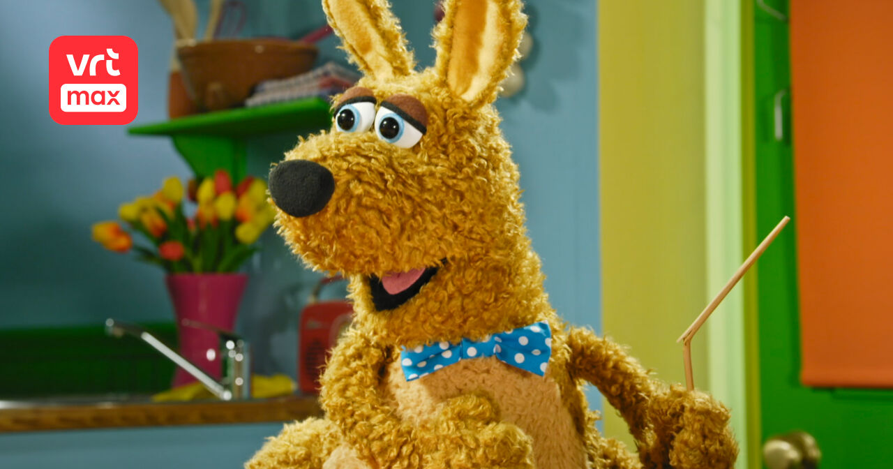 Monty & Co - 17 (1) | VRT MAX