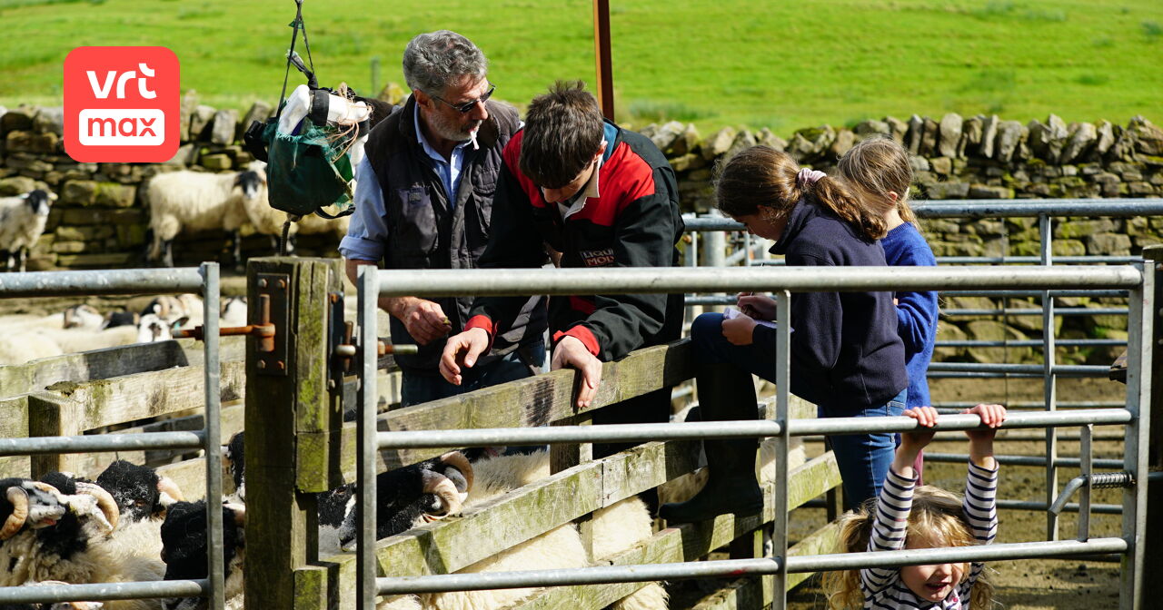 My big family farm - 6 (2) | VRT MAX