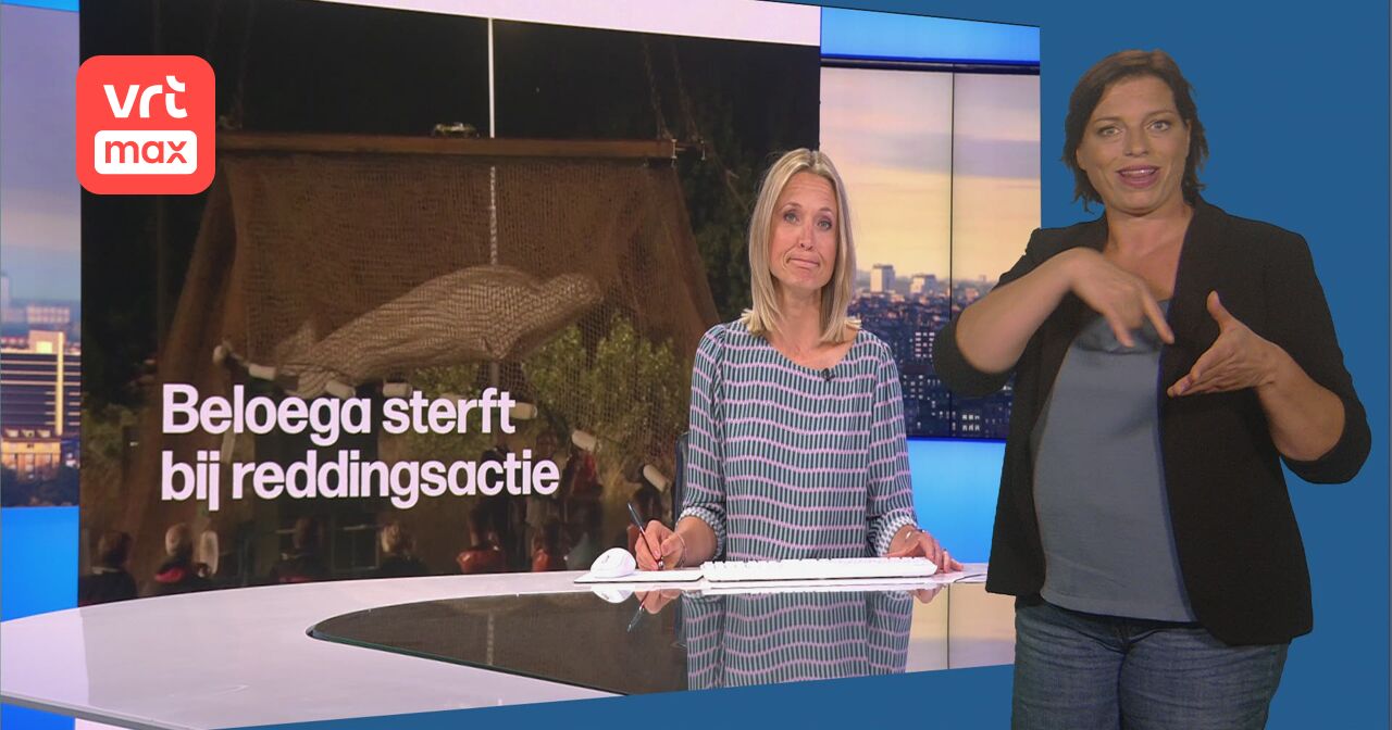 VRT NWS journaal met VGT - woensdag 10 augustus 2022 om 20:15 | VRT MAX