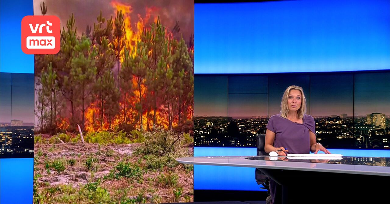 VRT NWS journaal - vrijdag 12 augustus 2022 om 22:46 | VRT MAX