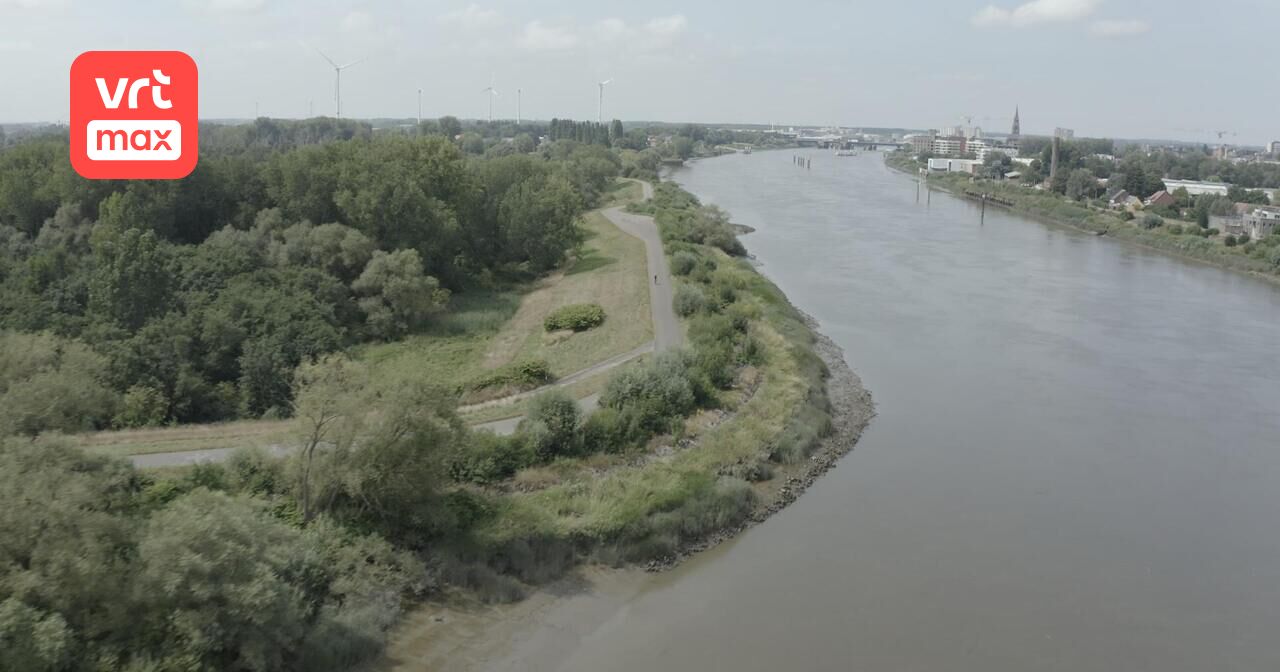 OVAM over bodemvervuiling in Vlaanderen: "Bodemsanering is een lang en ...
