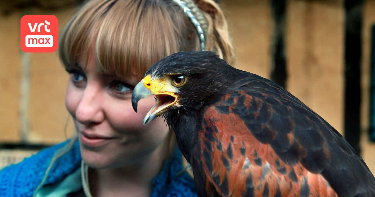 De 5e boog - 2 (1) | VRT MAX