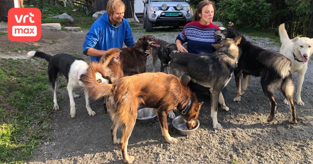 Het hoge noorden - 1 (2) | VRT MAX