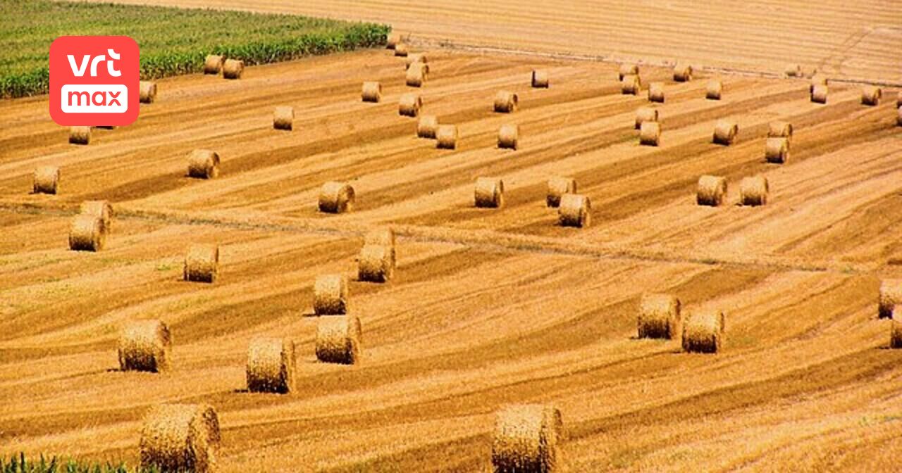 Onze correspondent in Frankrijk: "De Fransen denken dat iedereen in de ...