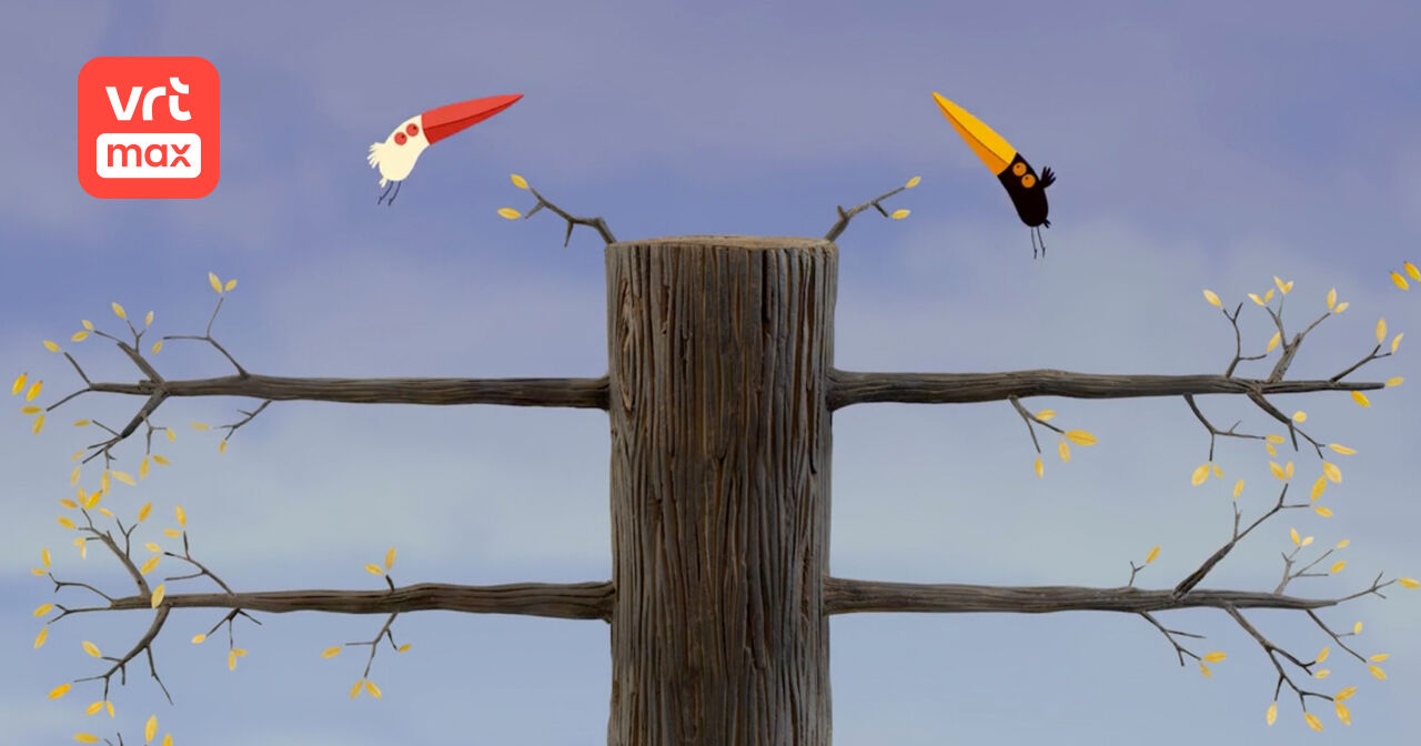 2 kleine vogels | VRT MAX