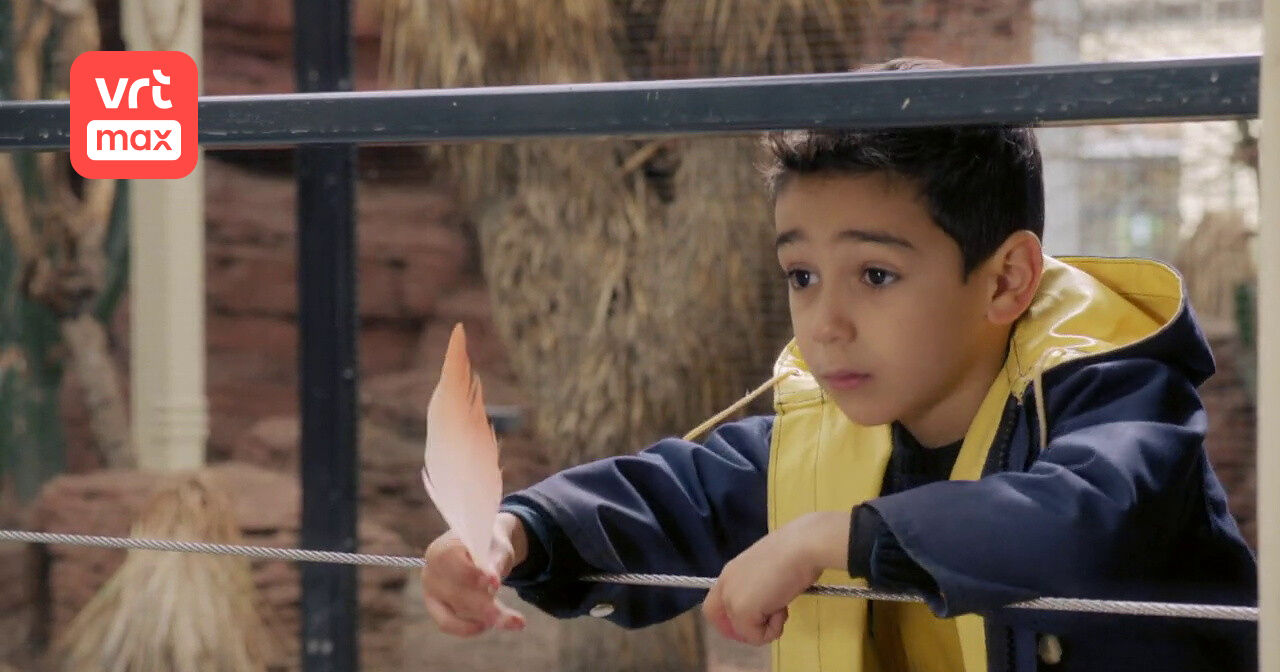 Aap, Poot, Pies - 10 (1) | VRT MAX