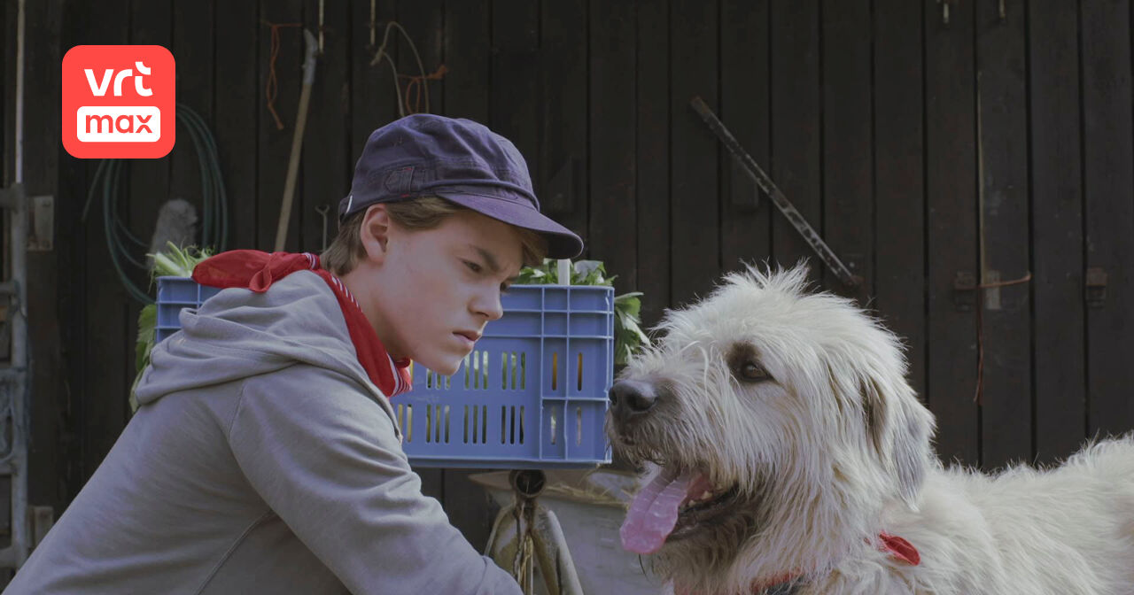 Kosmoo - Aflevering 4 (Seizoen 2) | VRT MAX