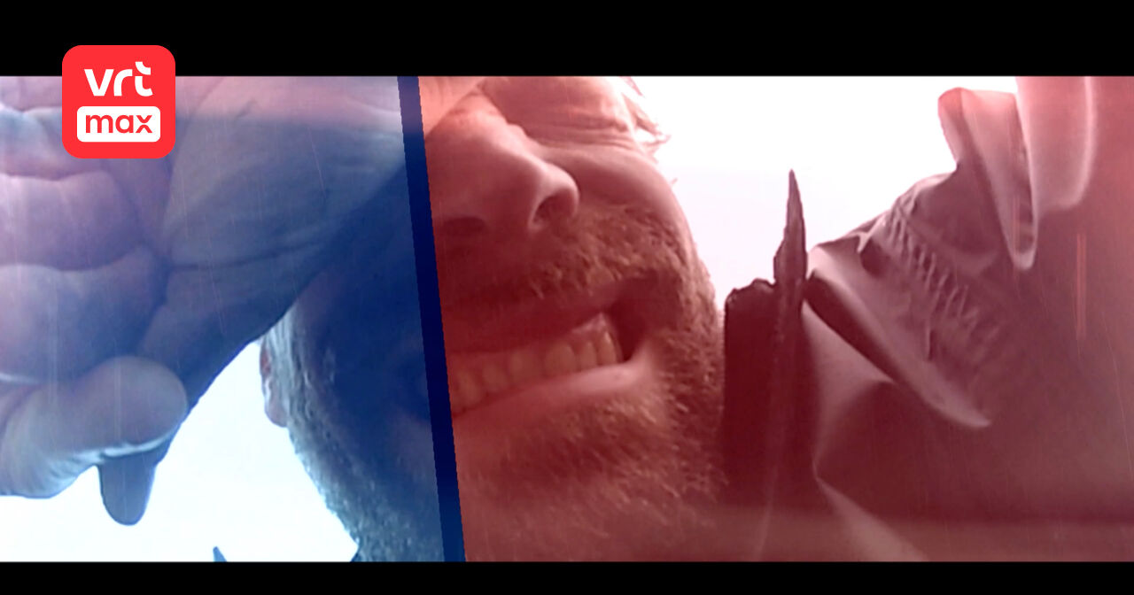 DIW Jubilee - 2 (fragmenten) | VRT MAX