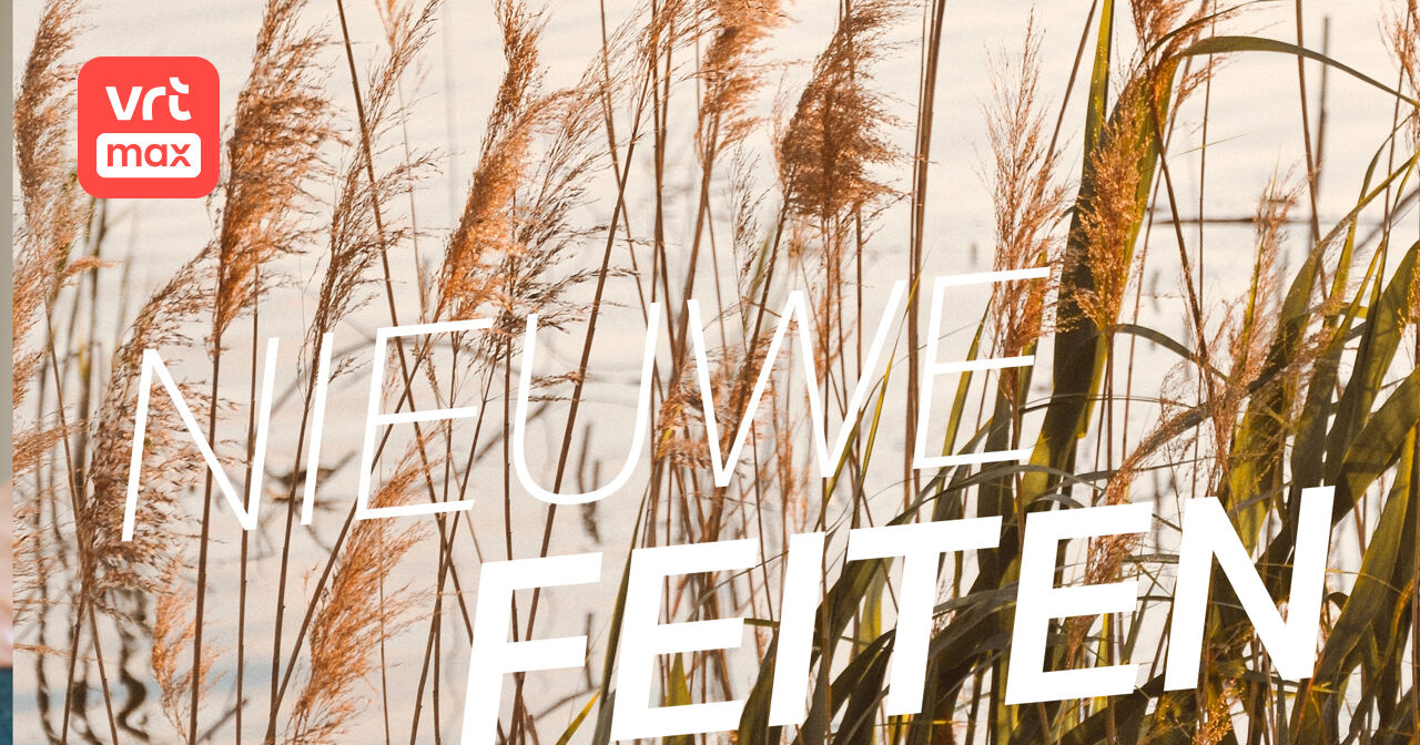 Wat kan je allemaal vinden in het riet? - Nieuwe Feiten [Podcast] | VRT MAX
