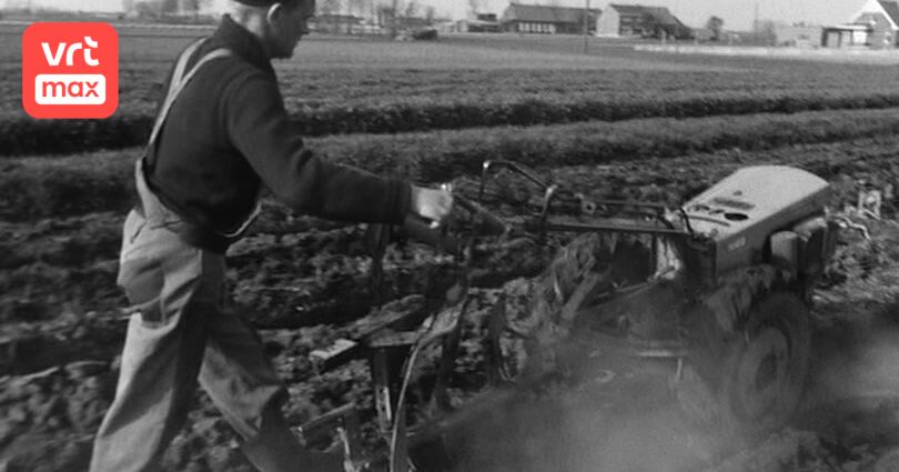 Voor boer en tuinder - 12 (1) | VRT MAX