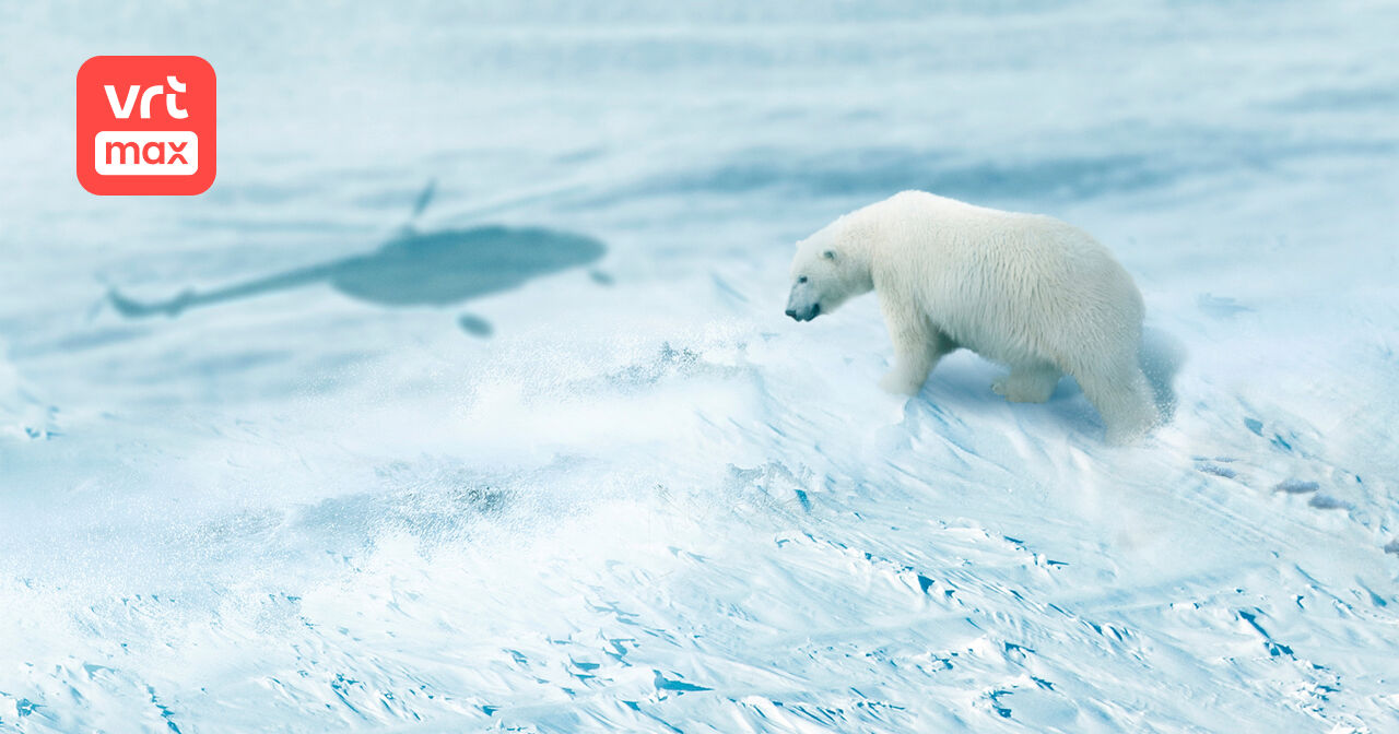 Arctic from above | VRT MAX