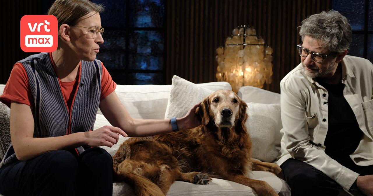 Winteruur - dinsdag 23 januari 2024 om 06:00 | VRT MAX