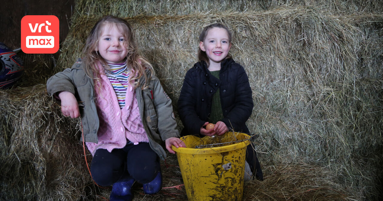 My big family farm - 4 (3) | VRT MAX