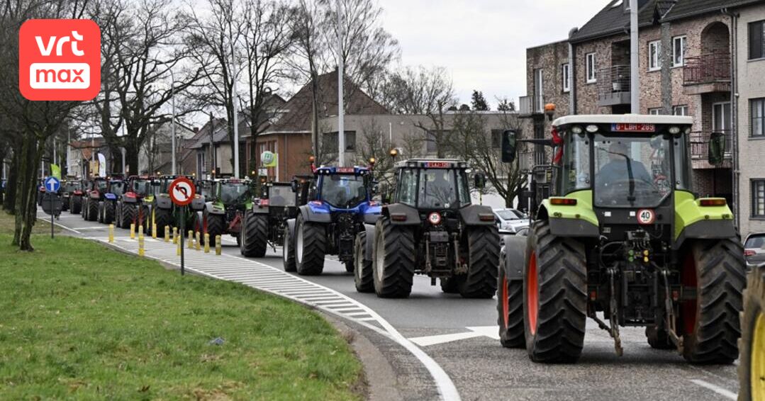 Verschillende supermarkten betalen boeren meer voor rundsvlees ...