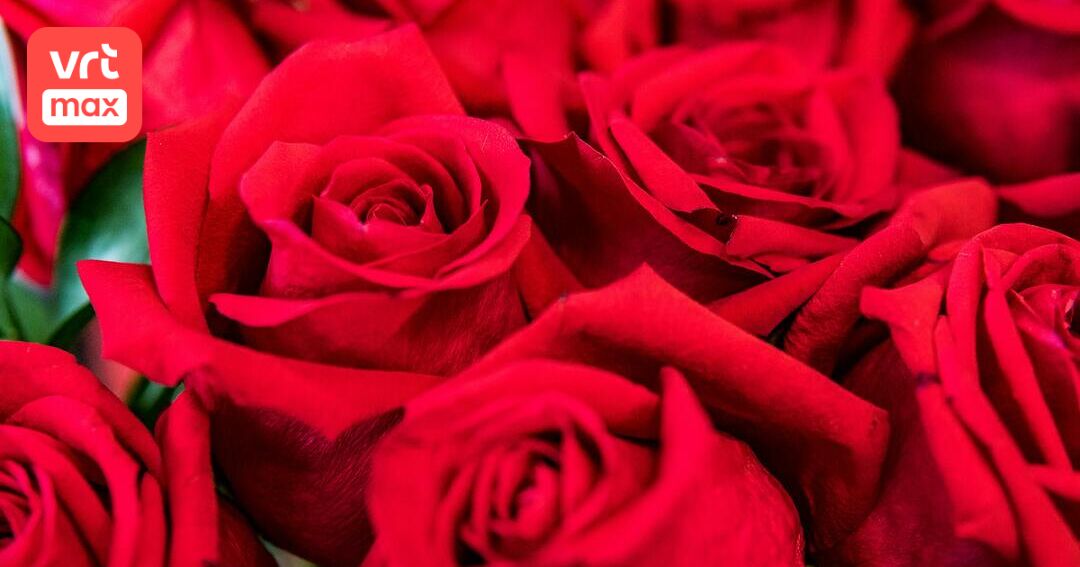 Rode rozen voor Valentijn? Zeg het dit jaar eens met duurzame bloemen