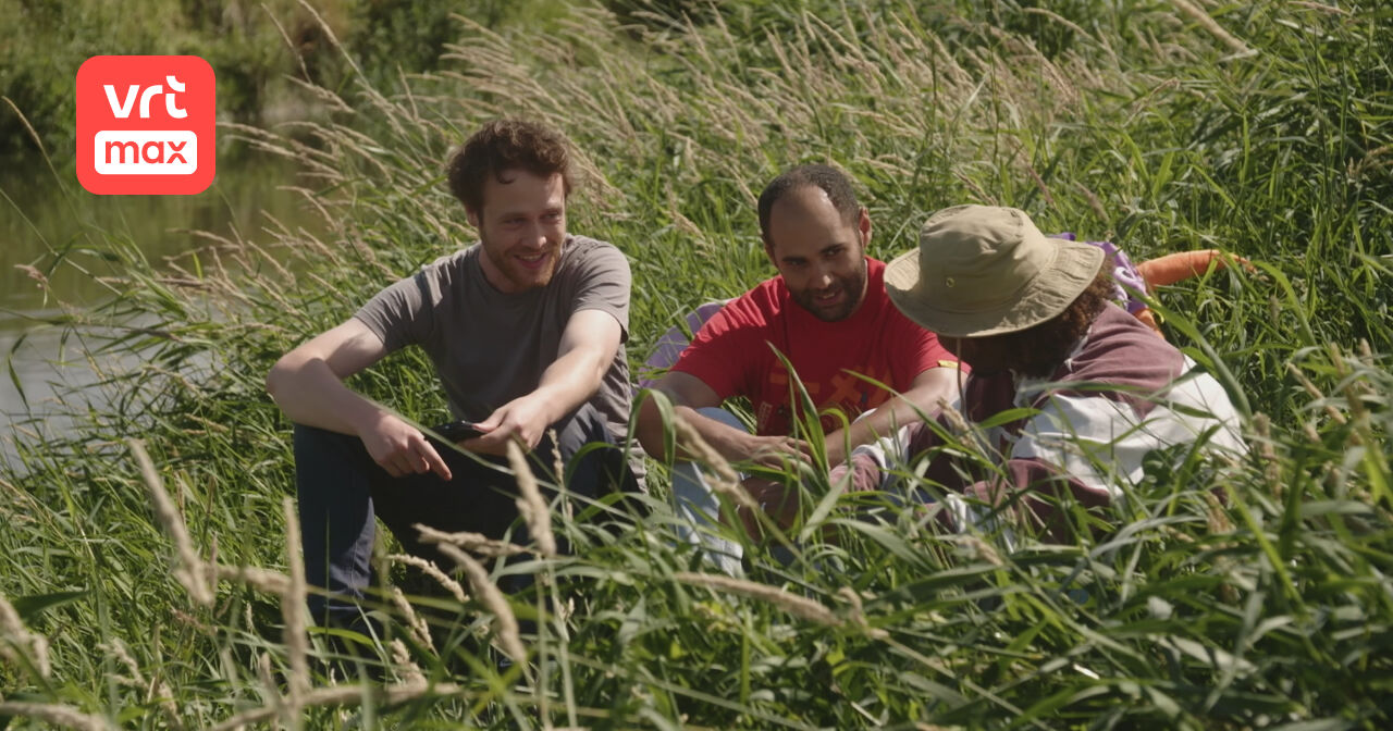 Dertigers - 19 (6) | VRT MAX