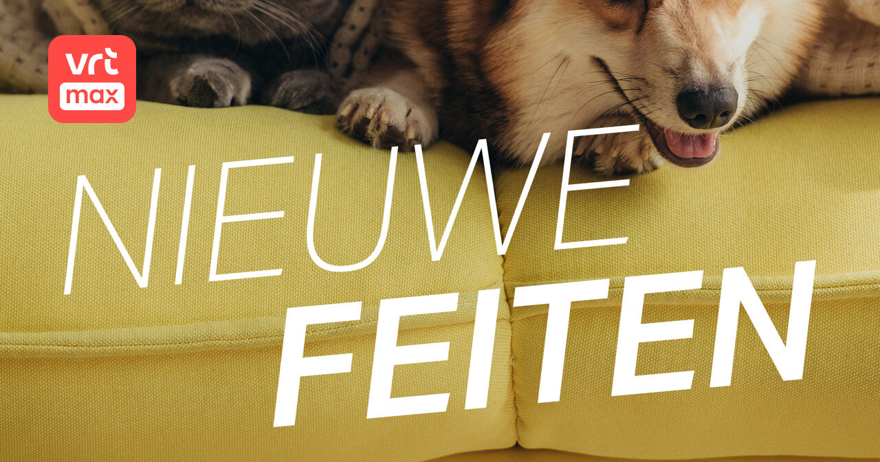 Wat is de geschiedenis van onze katten- en hondennamen? - Nieuwe Feiten ...