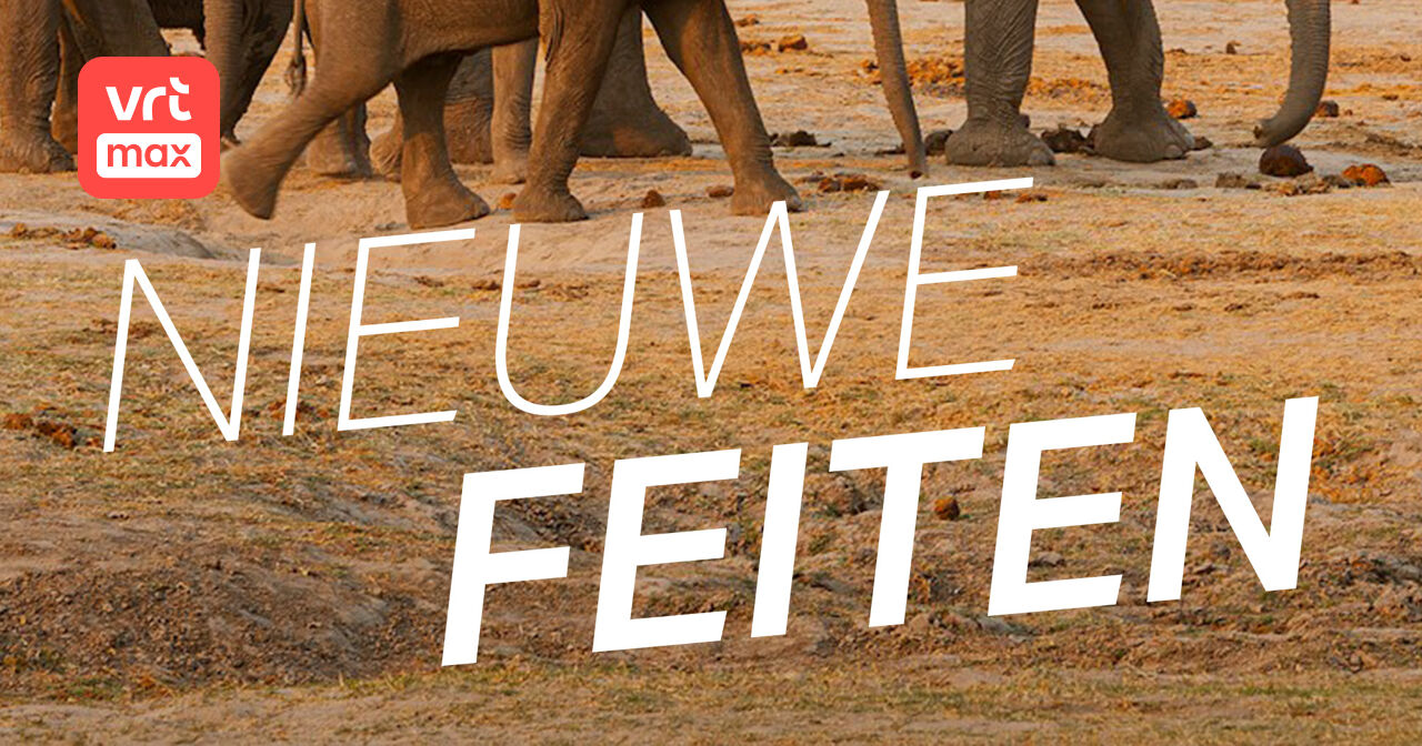 Olifanten geven mekaar namen - Nieuwe Feiten [Podcast] | VRT MAX