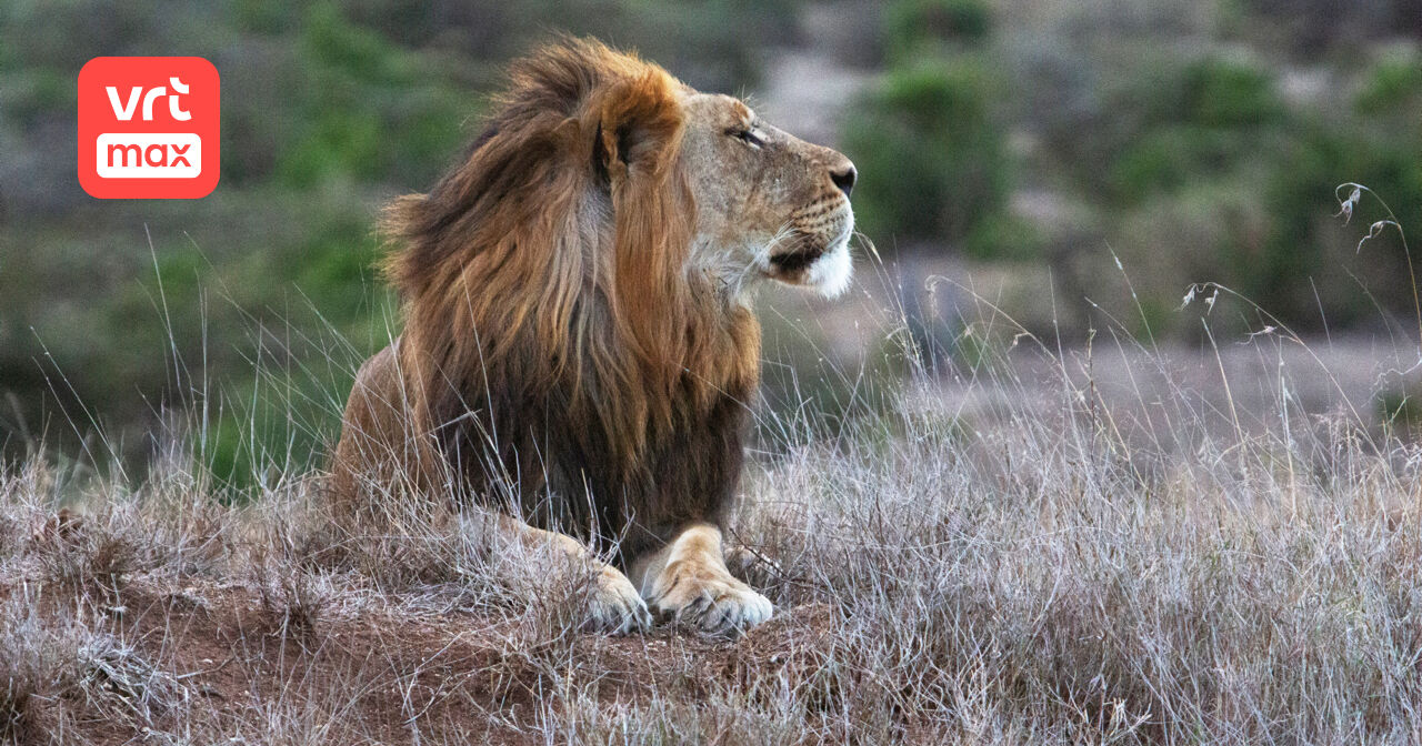 Chasing the rains - 1 (1) | VRT MAX