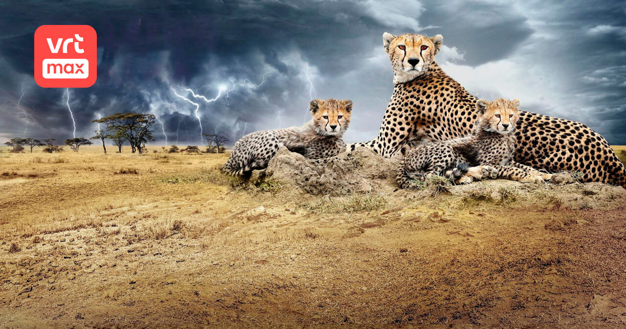 Chasing the rains | VRT MAX