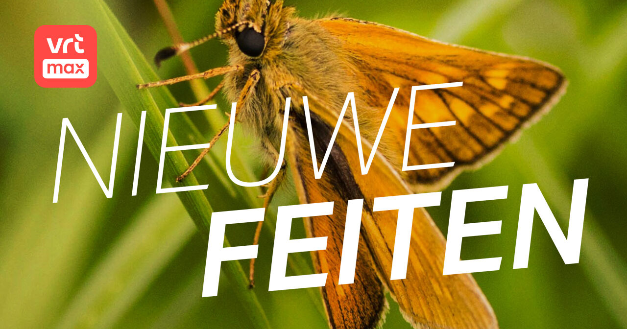 Zijn de vlinders terug? - Nieuwe Feiten [Podcast] | VRT MAX