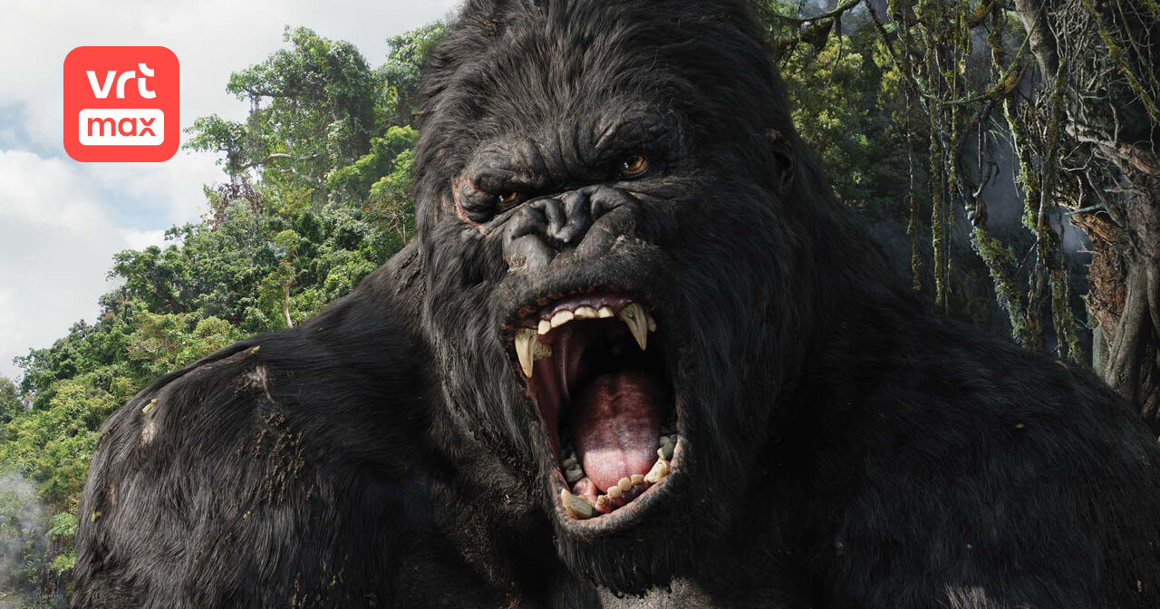 King Kong | VRT MAX