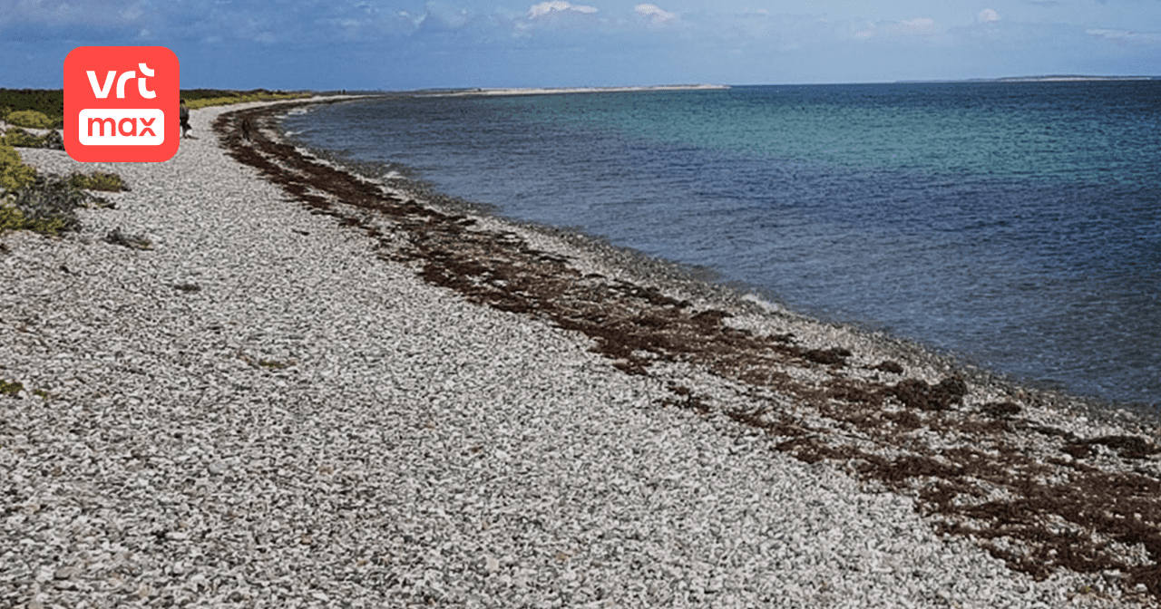 Dit Deense eiland is al meer dan 20 jaar (!) klimaatneutraal - Nieuwe Feiten [Podcast] | VRT MAX