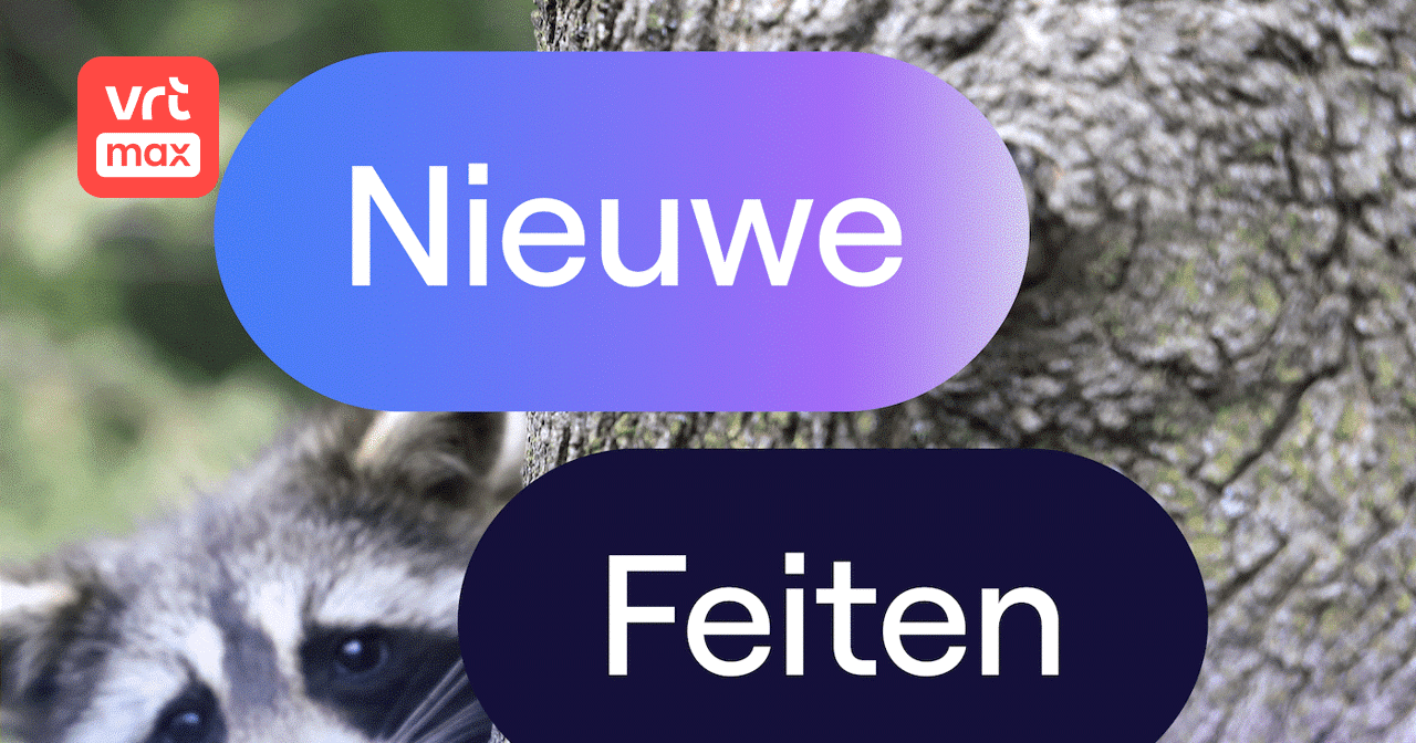 Joeri Cortens vindt een wasberenspoor - Nieuwe Feiten [Podcast] | VRT MAX