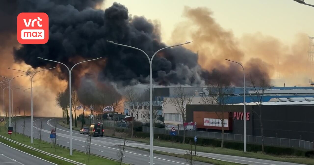 Karrewiet Nieuwsvideo’s - (belgie) | VRT MAX