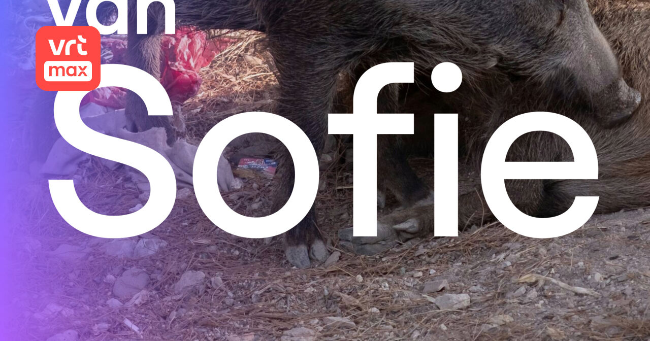 Het allergevaarlijkste beest - De Wereld van Sofie [Podcast] | VRT MAX