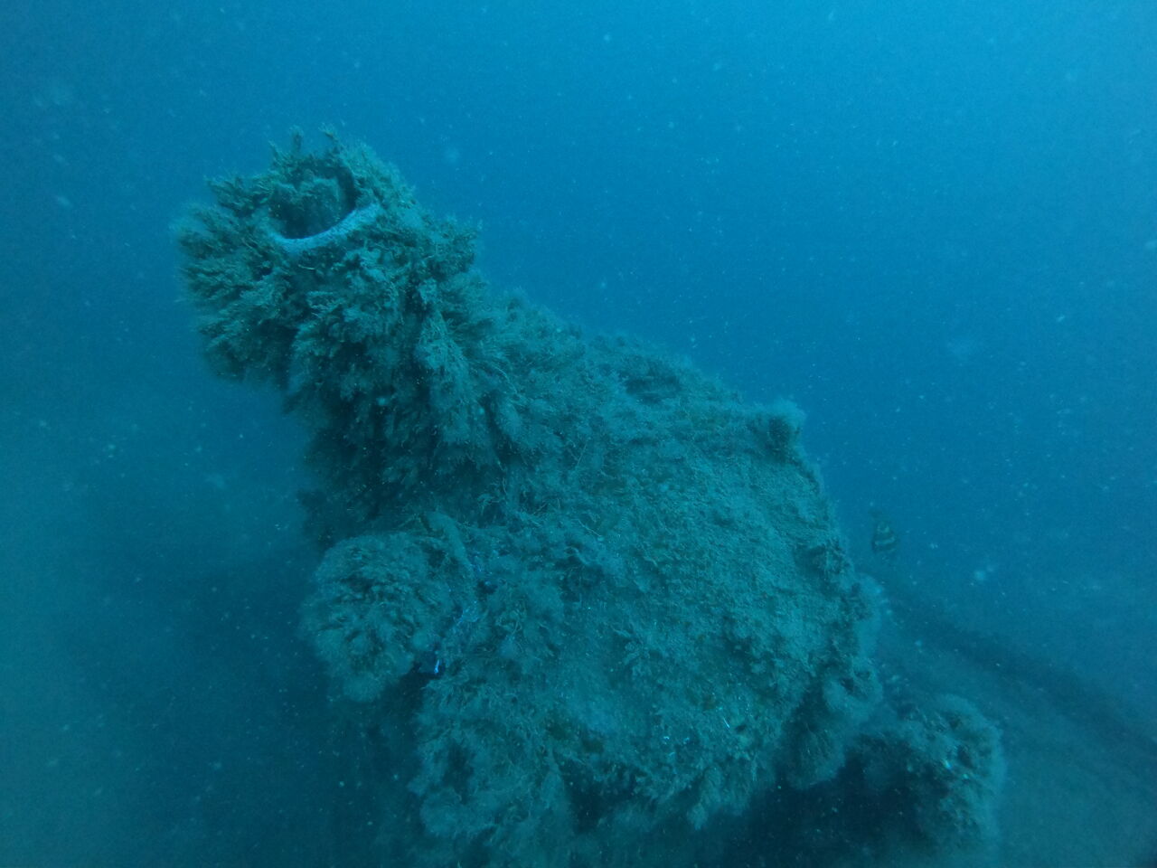 Opmerkelijke vondst in de Noordzee: wrak blijkt Duitse duikboot UB-32 ...