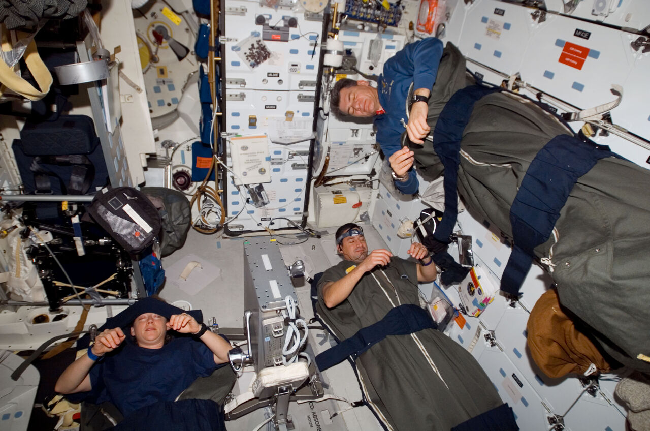 Winterslaap in de ruimte: wat astronauten van beren kunnen leren voor ...