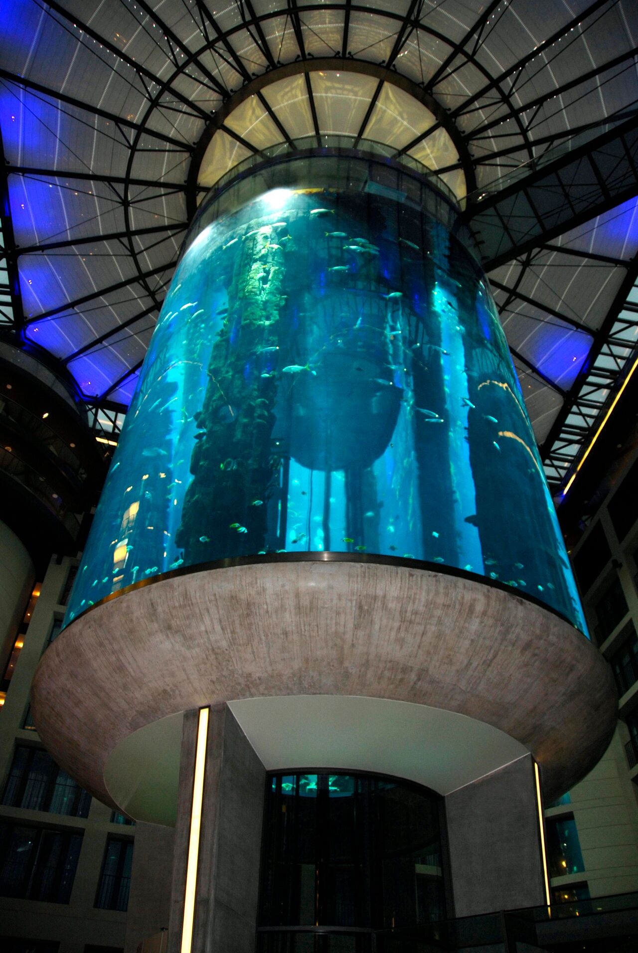 20 jaar oud, 16 meter acrylglas én voorbije 2,5 jaar gerenoveerd: hoe ...