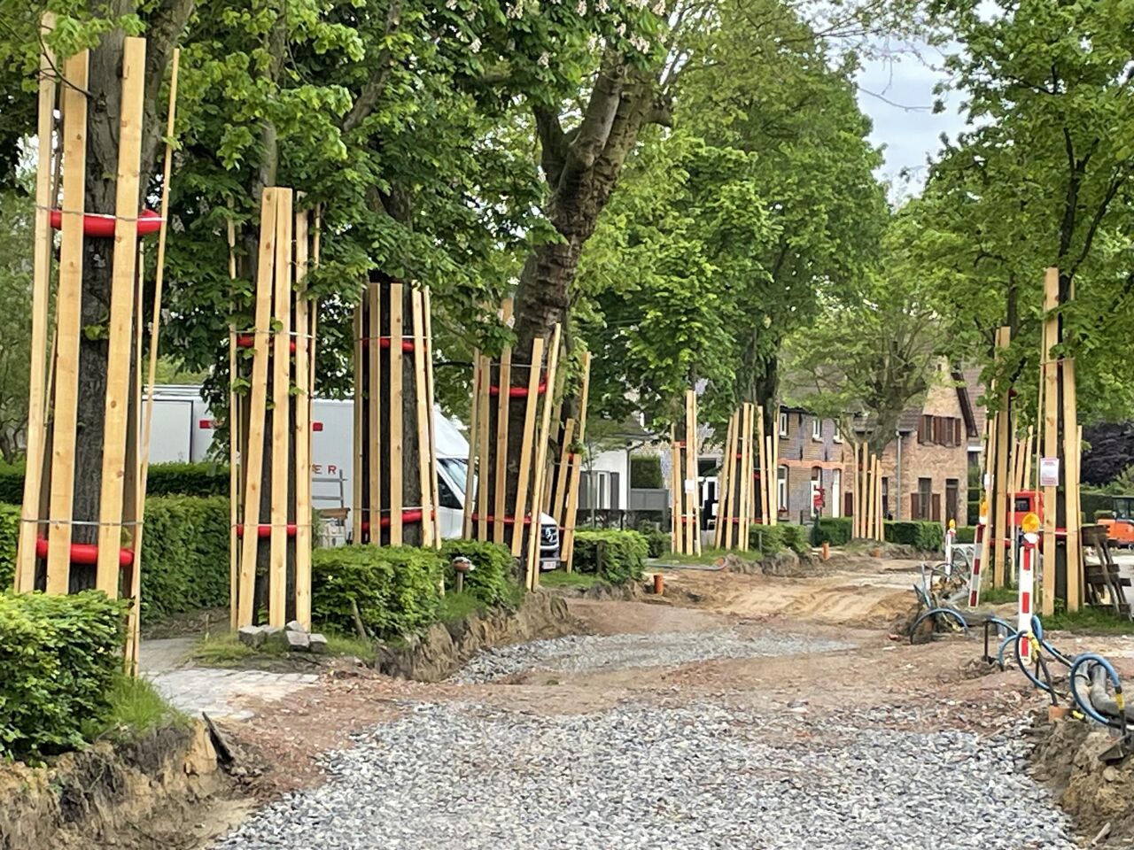 Opvallend: Sint-Martens-Latem beschermt bomen met hout tegen ...