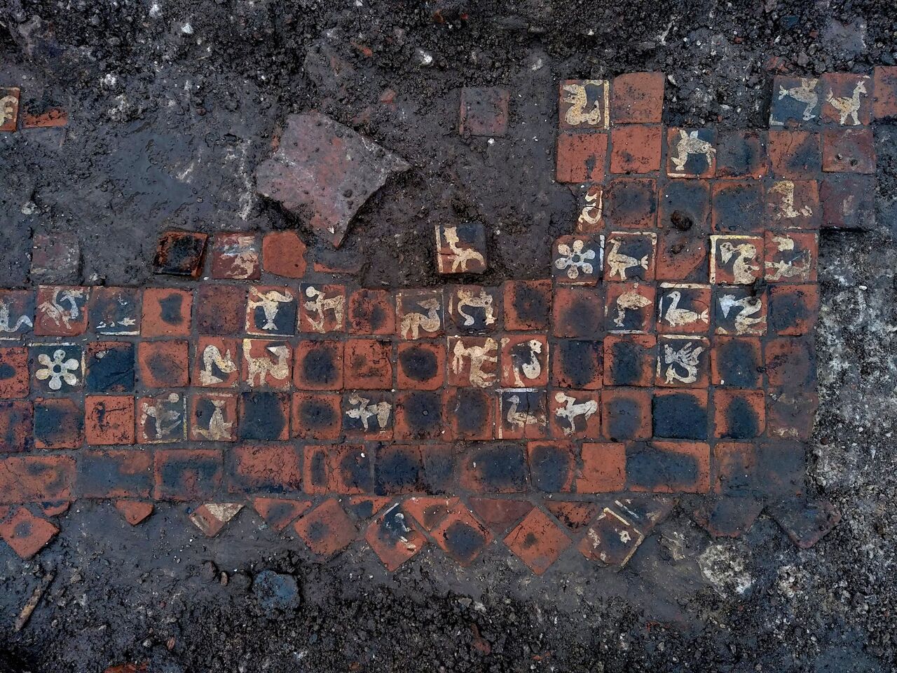 14e-eeuwse tegelvloer ontdekt in hartje Brugge: "Het is absoluut een belangrijke opgraving voor ...