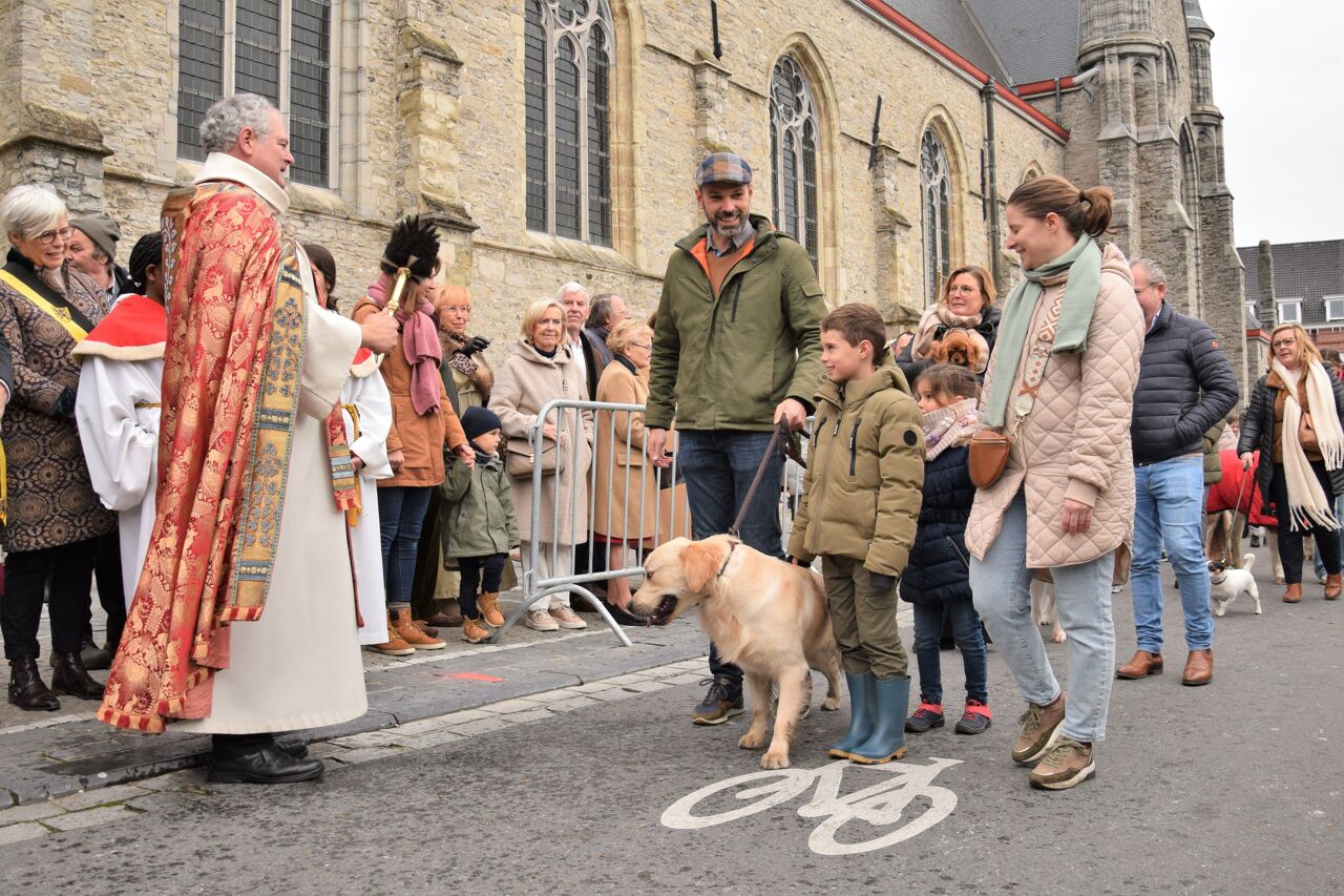 Sint-Hubertusviering in Waregem: met traditionele zegening van paarden ...