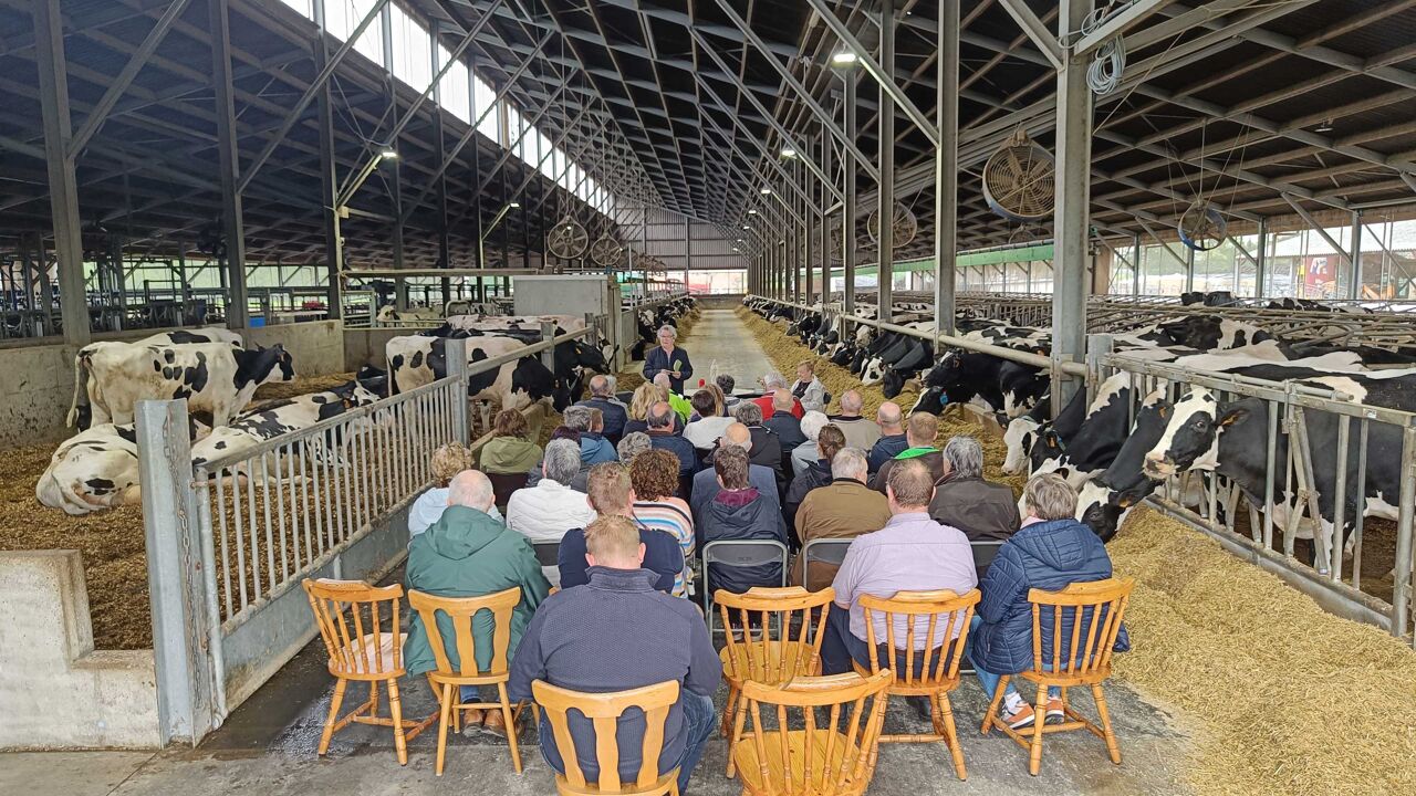 Misviering tussen de koeien: tientallen bezoekers bidden voor een goede ...