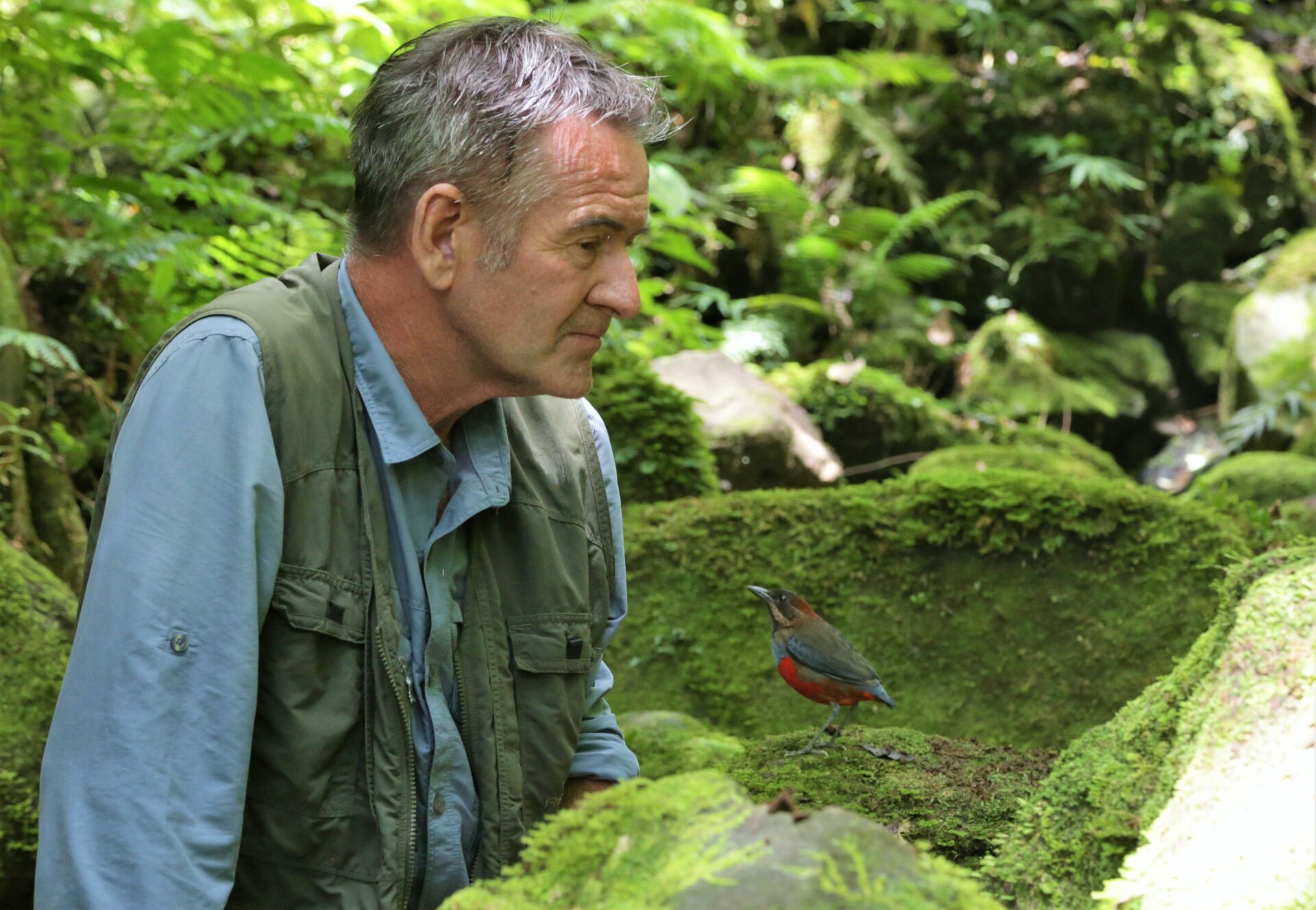 Nigel Marven's Wild Philippines | VRT MAX