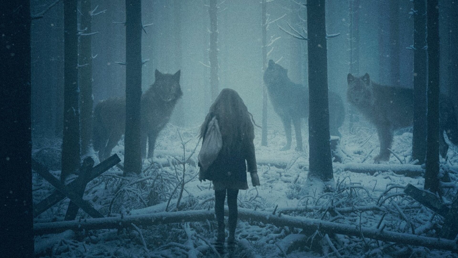 Misha and the wolves | VRT MAX