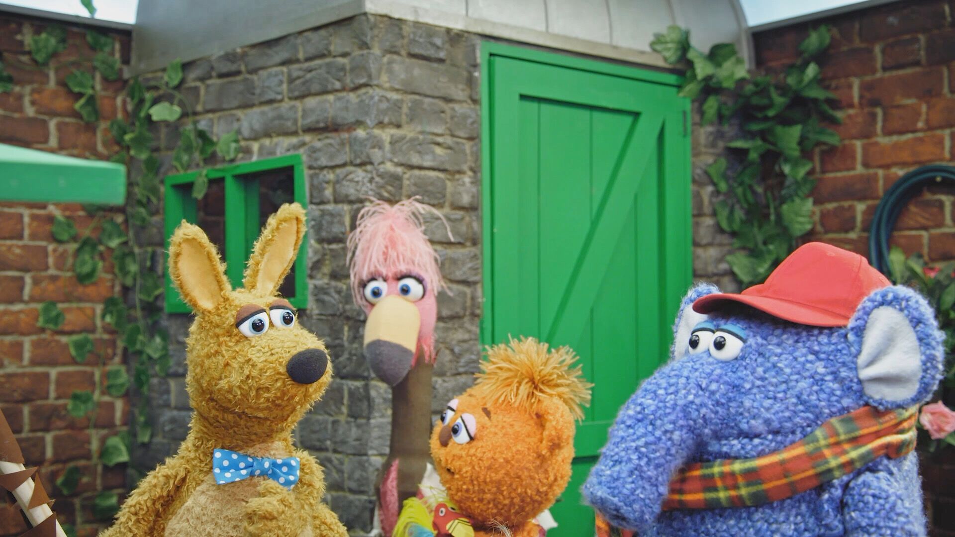 Monty & Co | VRT MAX